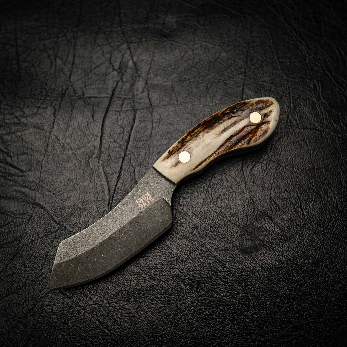Notch — Fallow Deer Antler